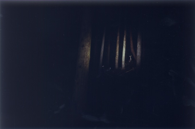 masaru-tatsuki_kuragari_no.7 | GALLERY SIDE 2